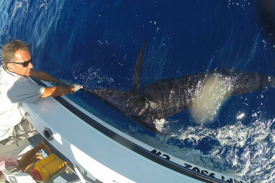Blue Marlin Mozambique & Africa´s East Coast - FishBazaruto.com