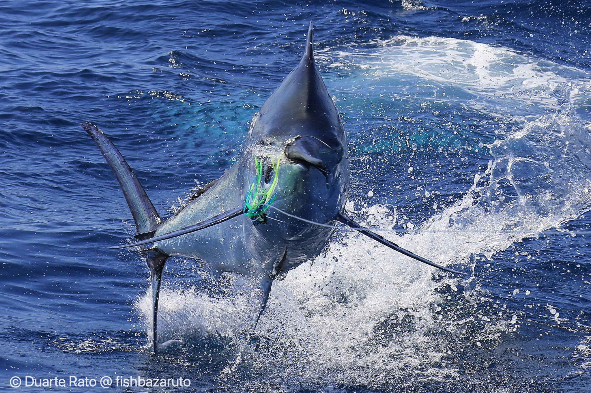 Heavy Tackle fishing for Giant Black Marlin in the Bazaruto Archipelago ...