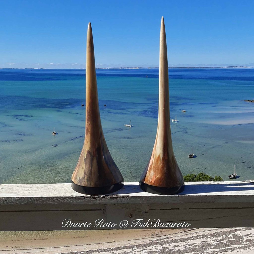 Marlin Bill´s - FishBazaruto.com